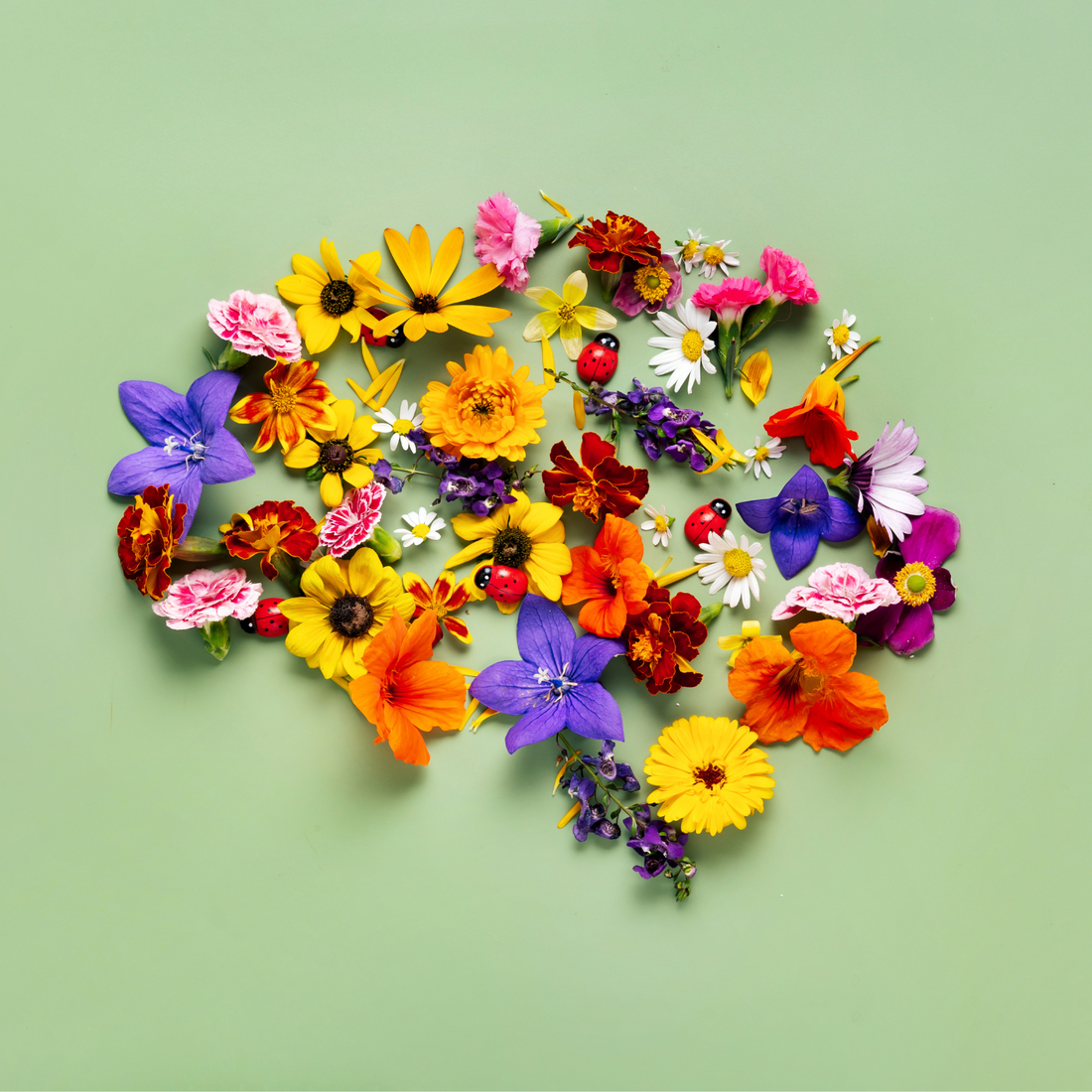 Psychobiotics: The Science-Backed Way to Engineer Better Mental Health