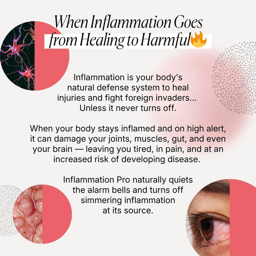 Inflammation Pro