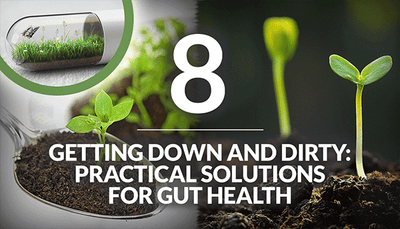 The Gut Solution - Optimal Gut Health | Goodness Lover