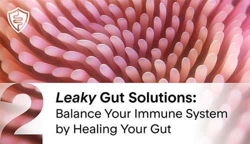 The Gut-Immune Solution - Rebuilding Your Gut Health | Goodness Lover