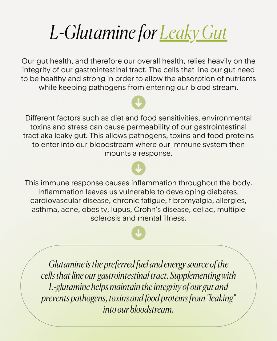 L-Glutamine Powder - The Gut Solutions Expert | Goodness Lover